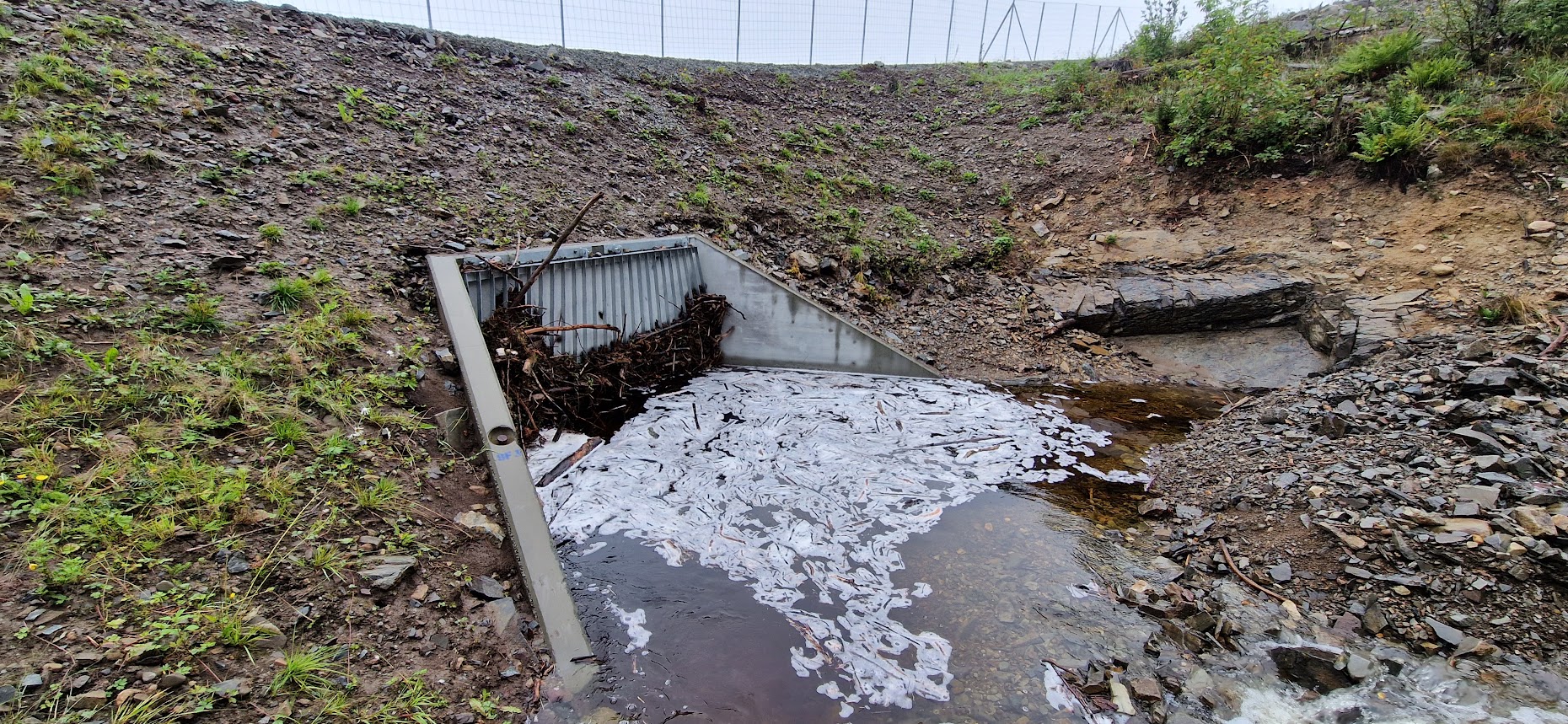 Ingen regler for utforming av rister - vaforum